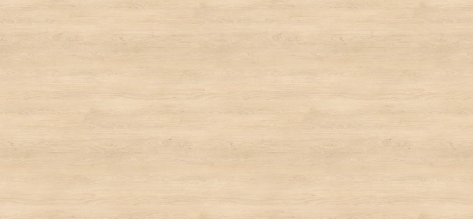 H1732 ST9 Берёза песочная купить по выгодной цене | Базис Воронеж